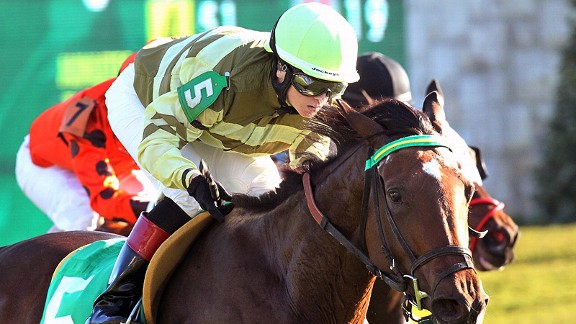 Kentucky Derby 1973 vs 2013 - Secretariat vs ? | The Bedding Snob